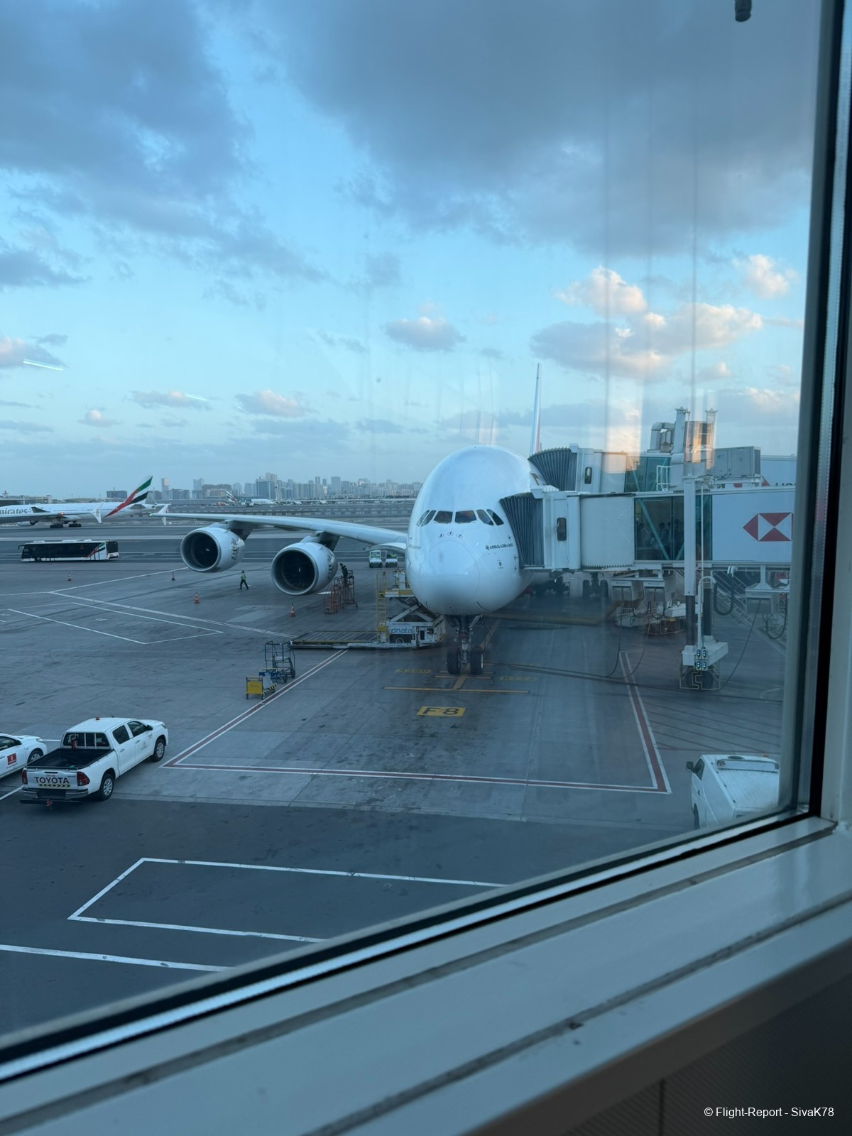 Avis du vol Emirates Dubai → Paris en Economique