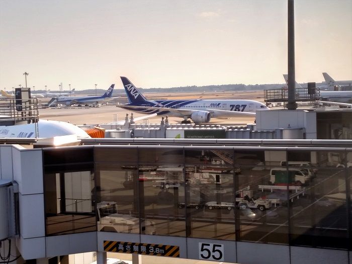 Review of ANA flight from San Francisco to Tokyo in Economy