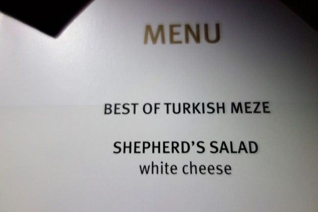 Review of Turkish Airlines flight from Cairo to Istanbul in Business