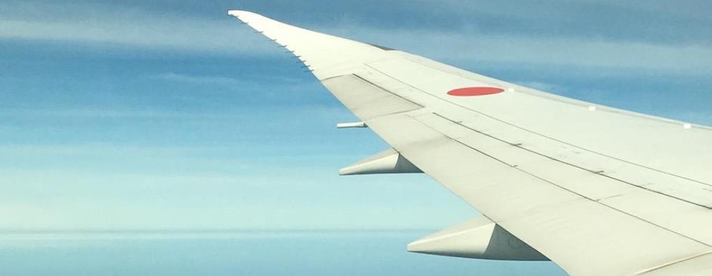 Review of ANA flight from Jakarta to Tokyo in Economy