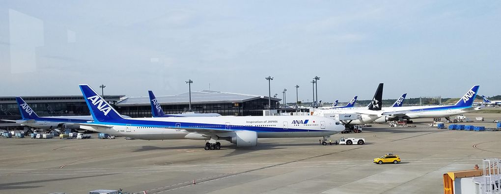 Review of ANA flight from Tokyo to Los Angeles in First