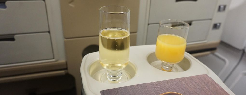 Review of Singapore Airlines flight from Singapore to Colombo in Business