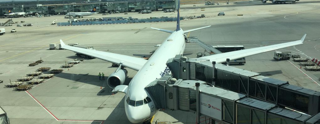 Review of Lufthansa flight from Moscow to Frankfurt in Premium Eco
