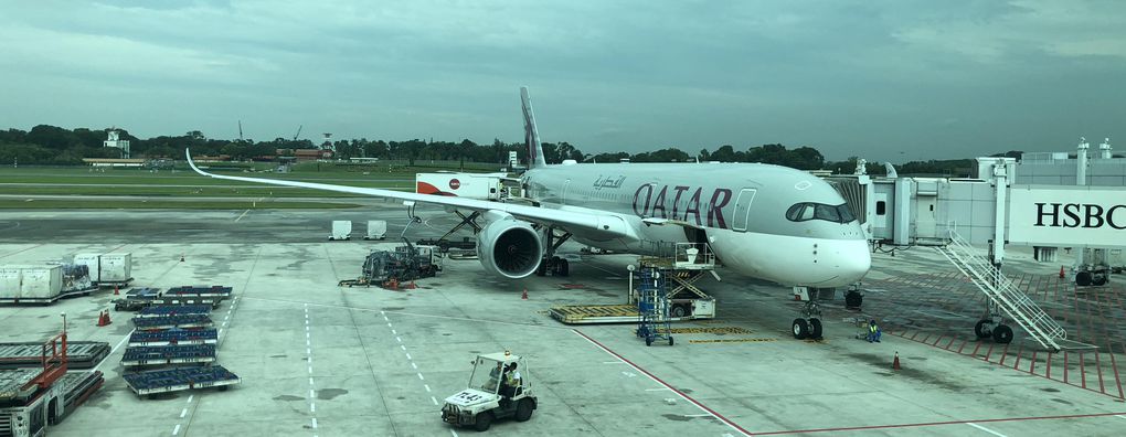 Review of Qatar Airways flight from Singapore to Doha in Economy