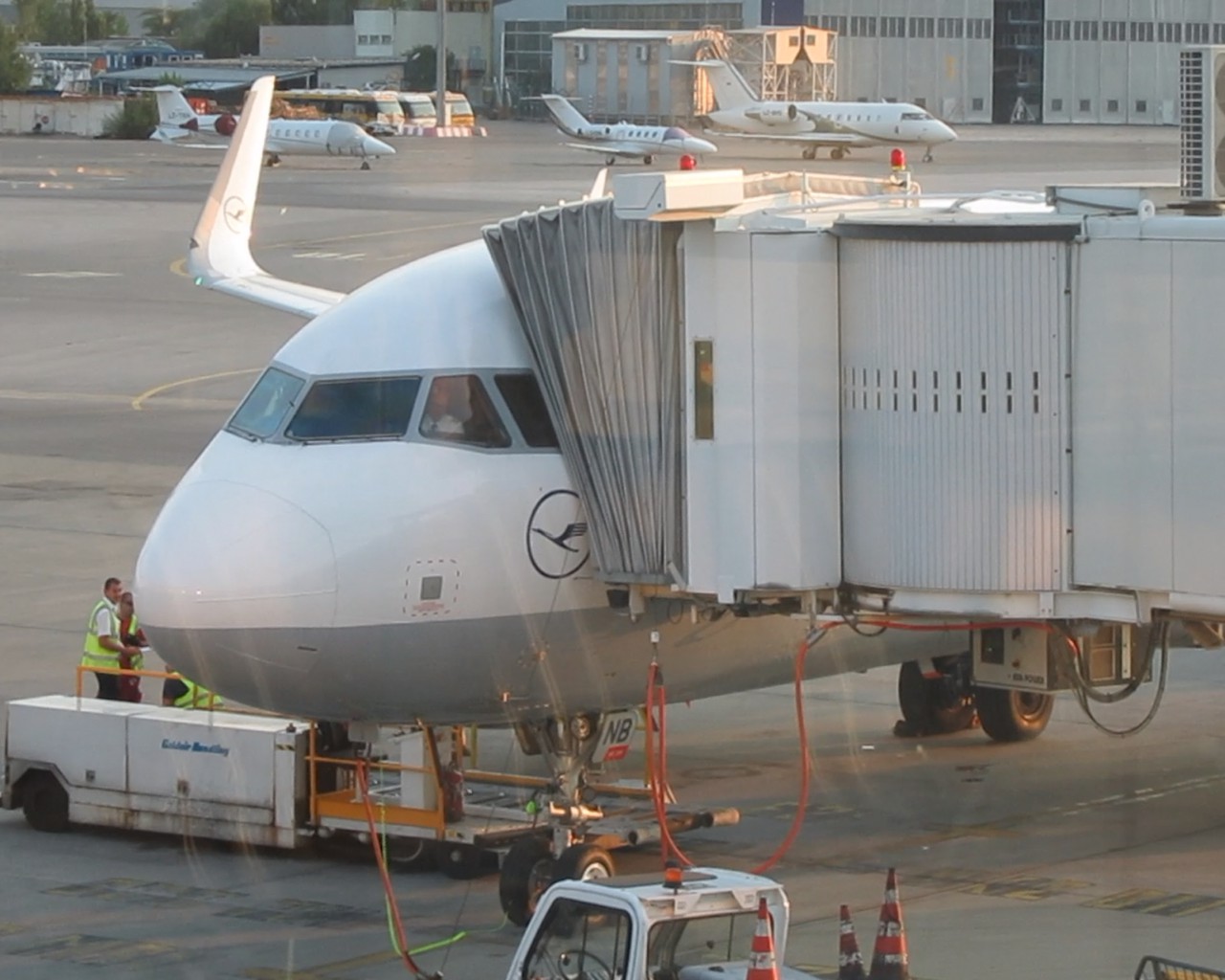 Review of Lufthansa flight from Sofia to Frankfurt in Business