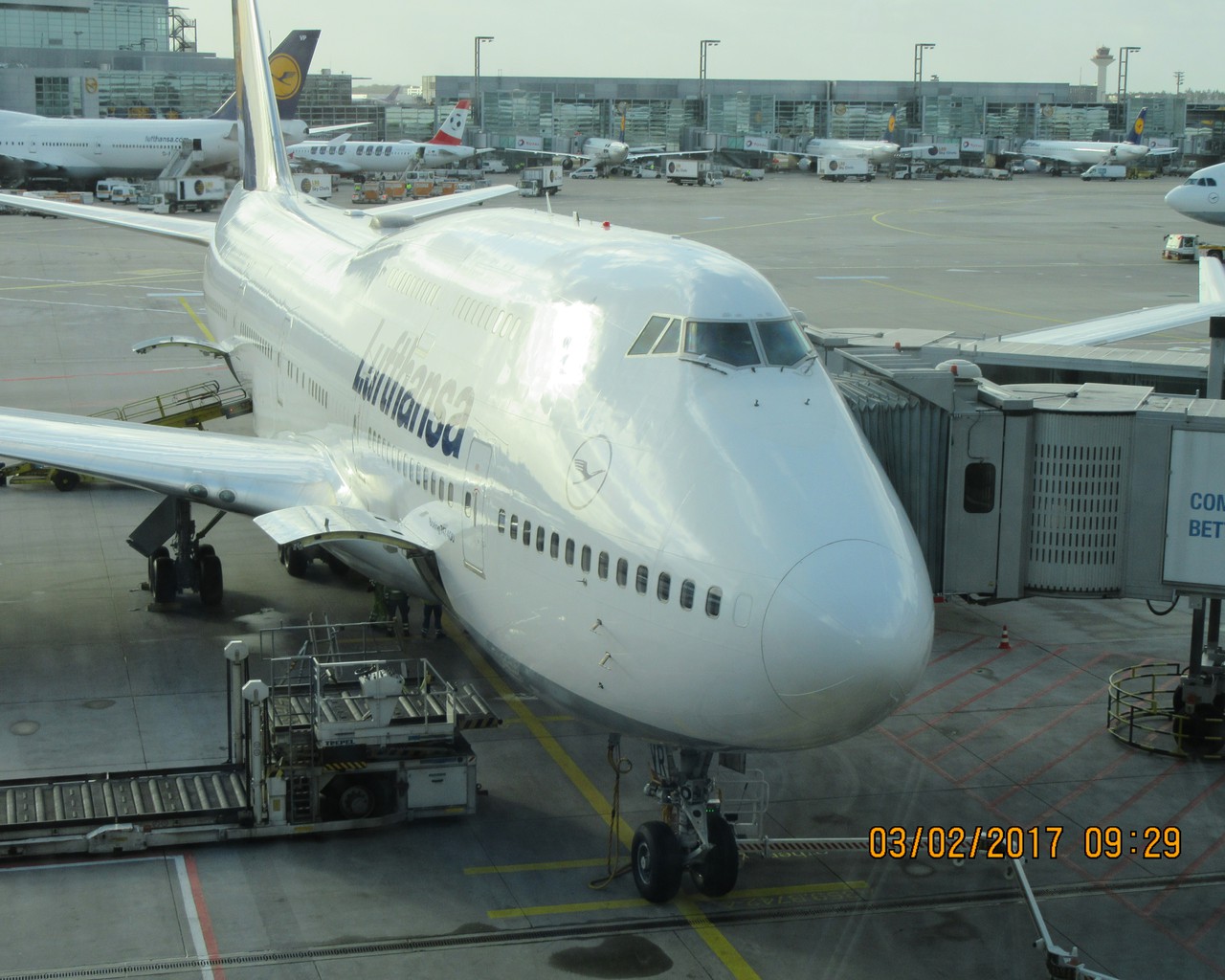 Review of Lufthansa flight from Frankfurt to Seattle in Economy