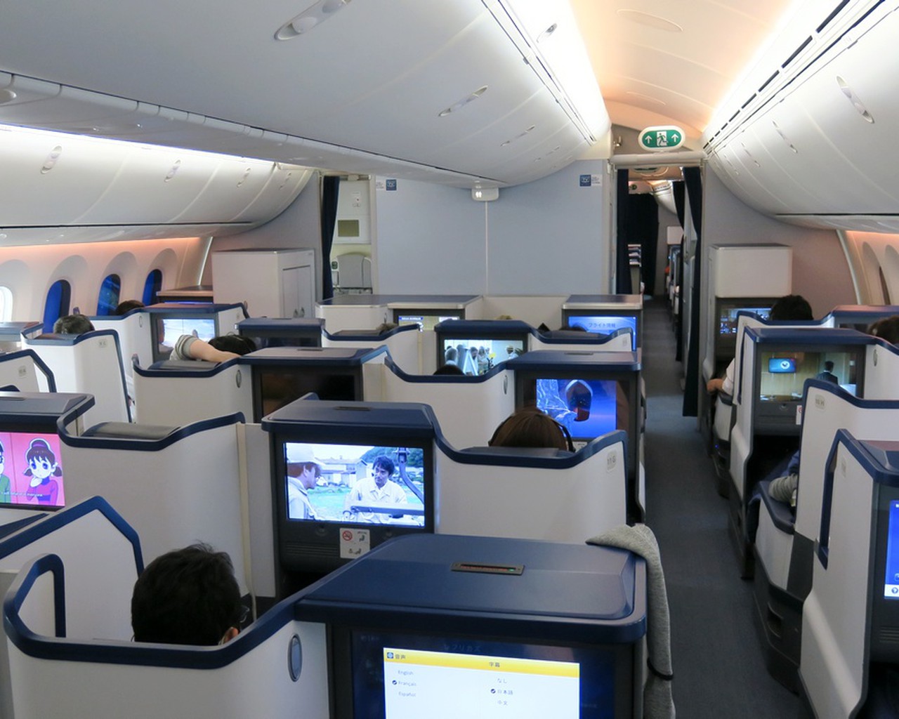 Avis du vol ANA Paris → Tokyo en Affaires