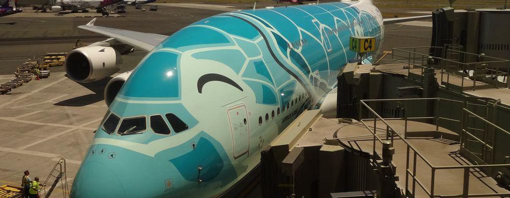 Review of ANA flight from Honolulu to Tokyo in Economy
