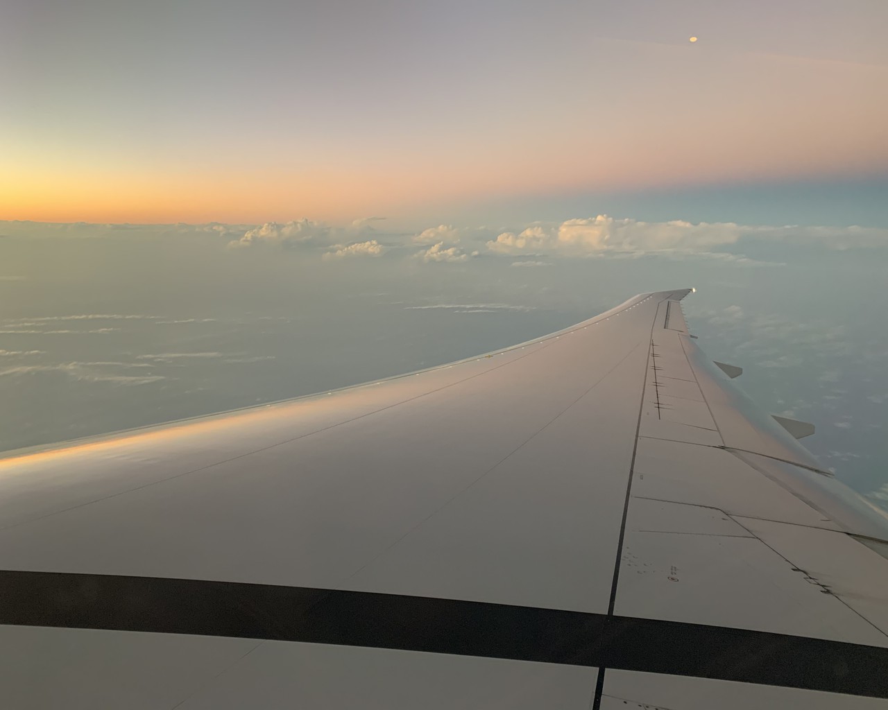 Avis du vol Emirates New Delhi → Dubai en Economique