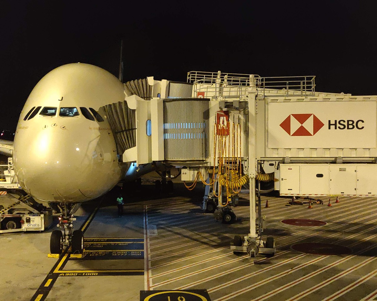 Avis du vol Etihad Airways Sydney → Abu Dhabi en Economique