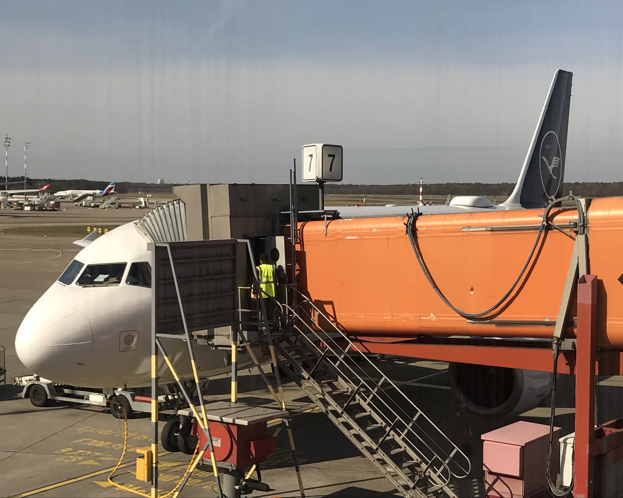 Review of Lufthansa flight from Frankfurt to Berlin in Economy