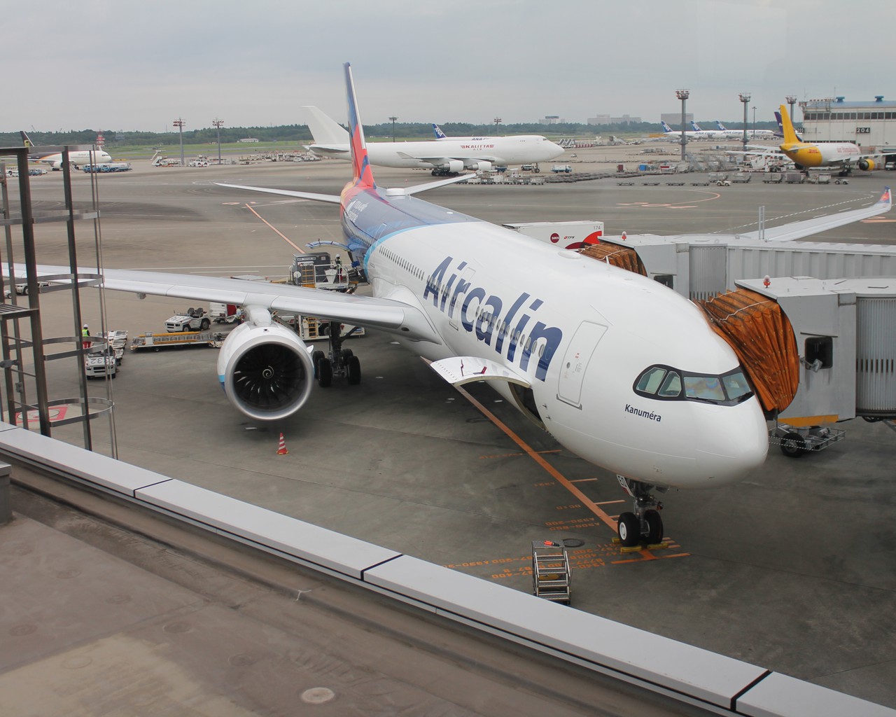 Review of AirCalin flight from Nouméa to Tokyo in Economy