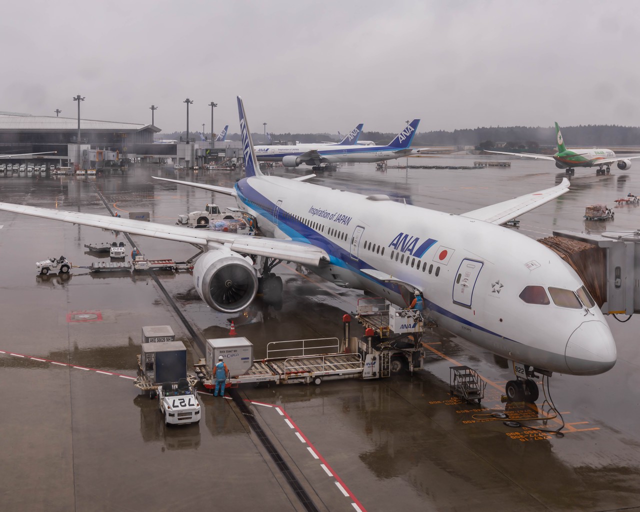 Review of ANA flight from Singapore to Tokyo in Economy