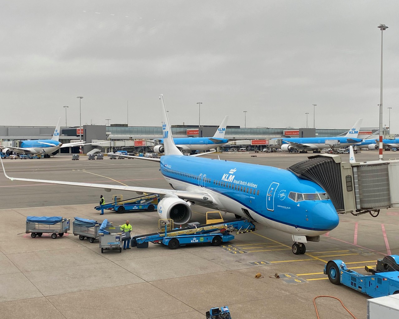 Review of KLM flight from Amsterdam to Rome in Economy