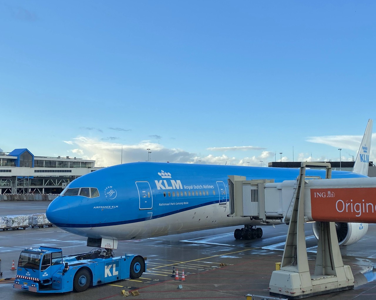 Review of KLM flight from Amsterdam to Dubai in Economy