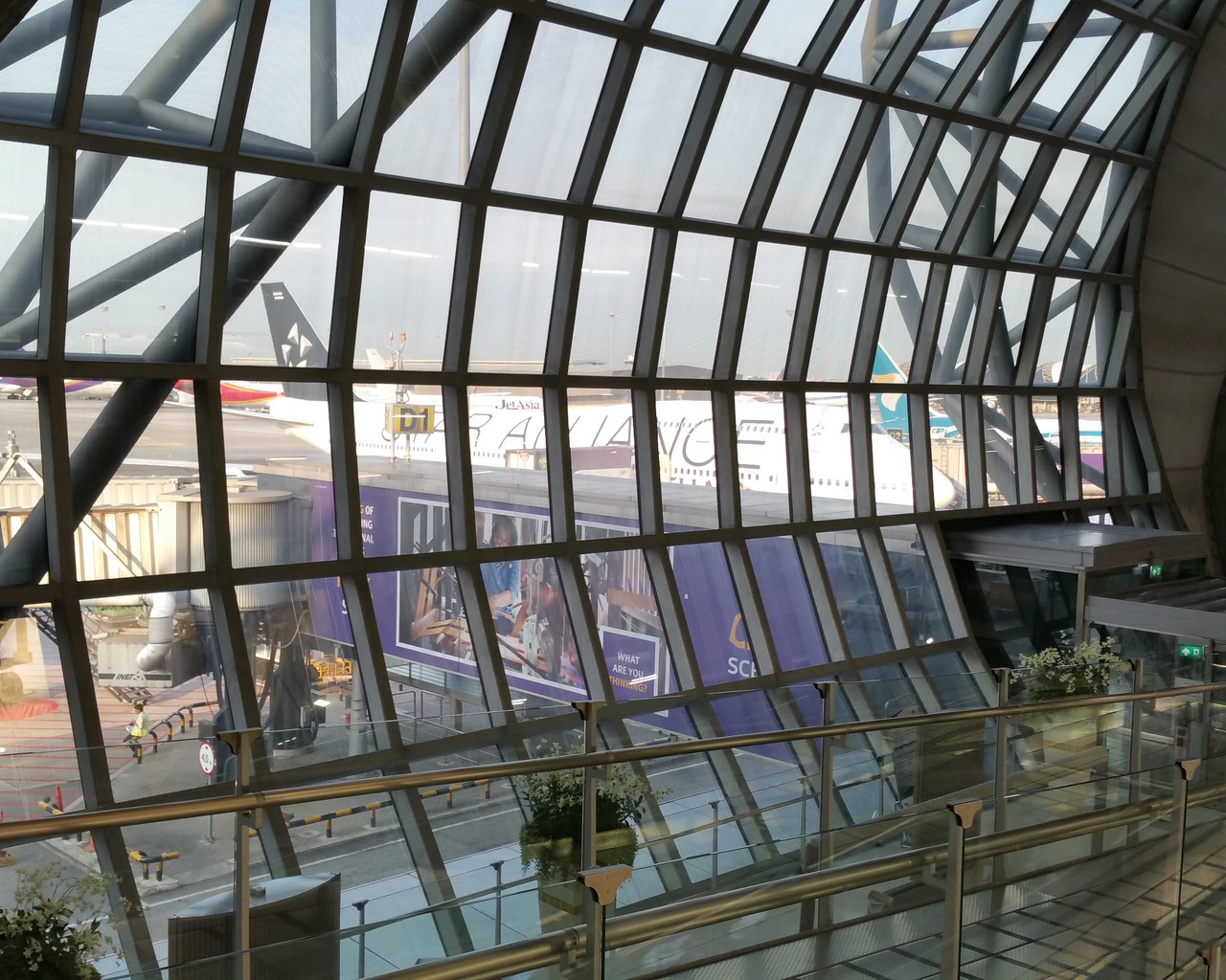 Review of Thai Airways flight from Bangkok to Sydney in Economy