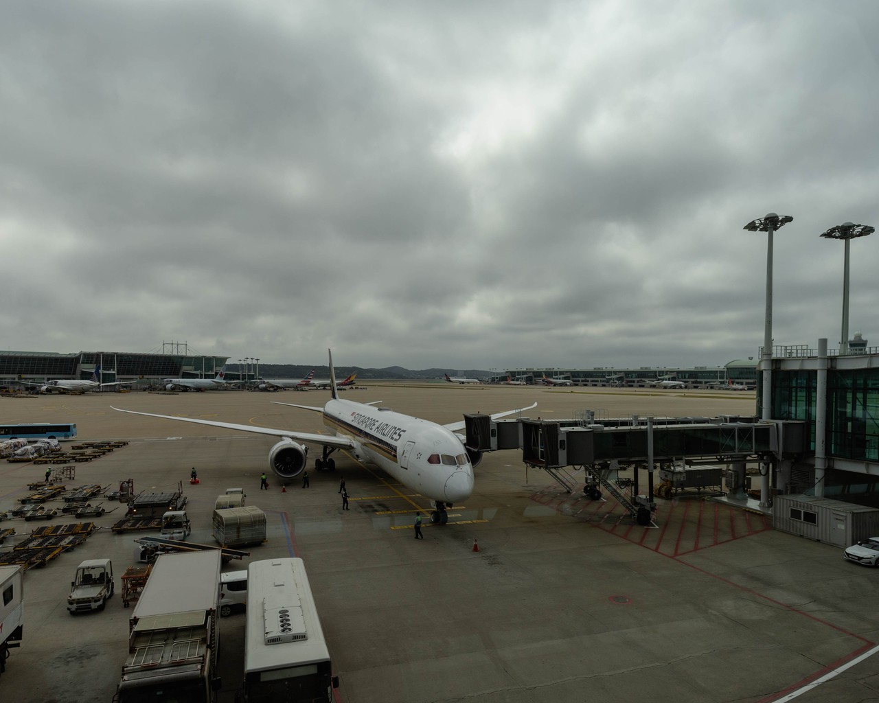 Review of Singapore Airlines flight from Seoul to Singapore in Economy