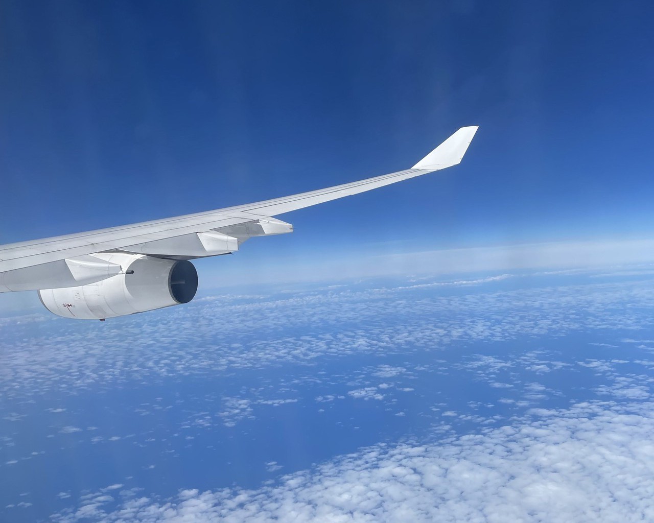 Review of Lufthansa flight from Frankfurt to Bogota in Business