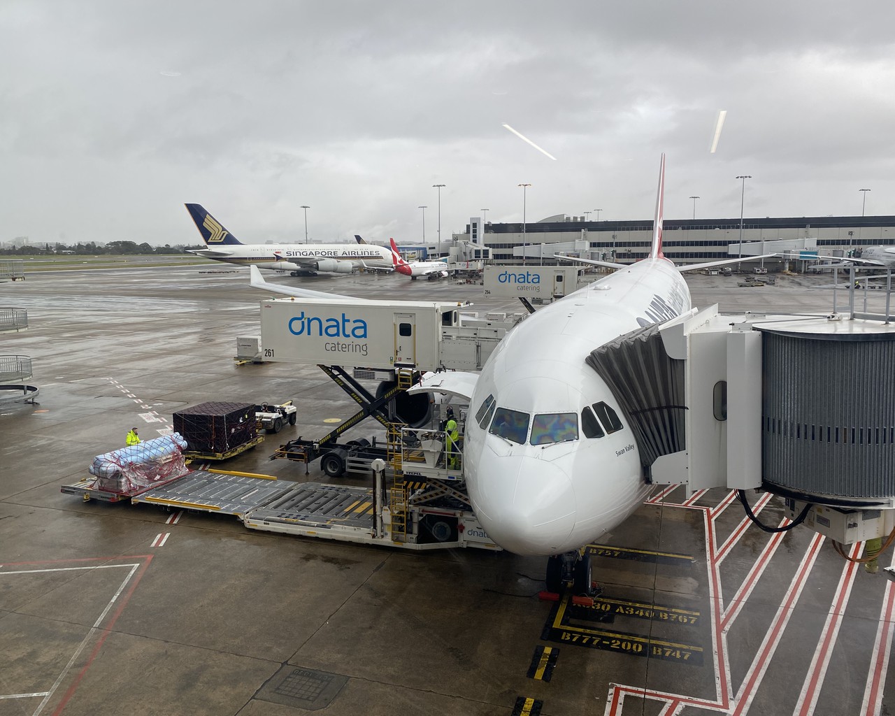 Review of Qantas flight from Sydney to Singapore in Economy