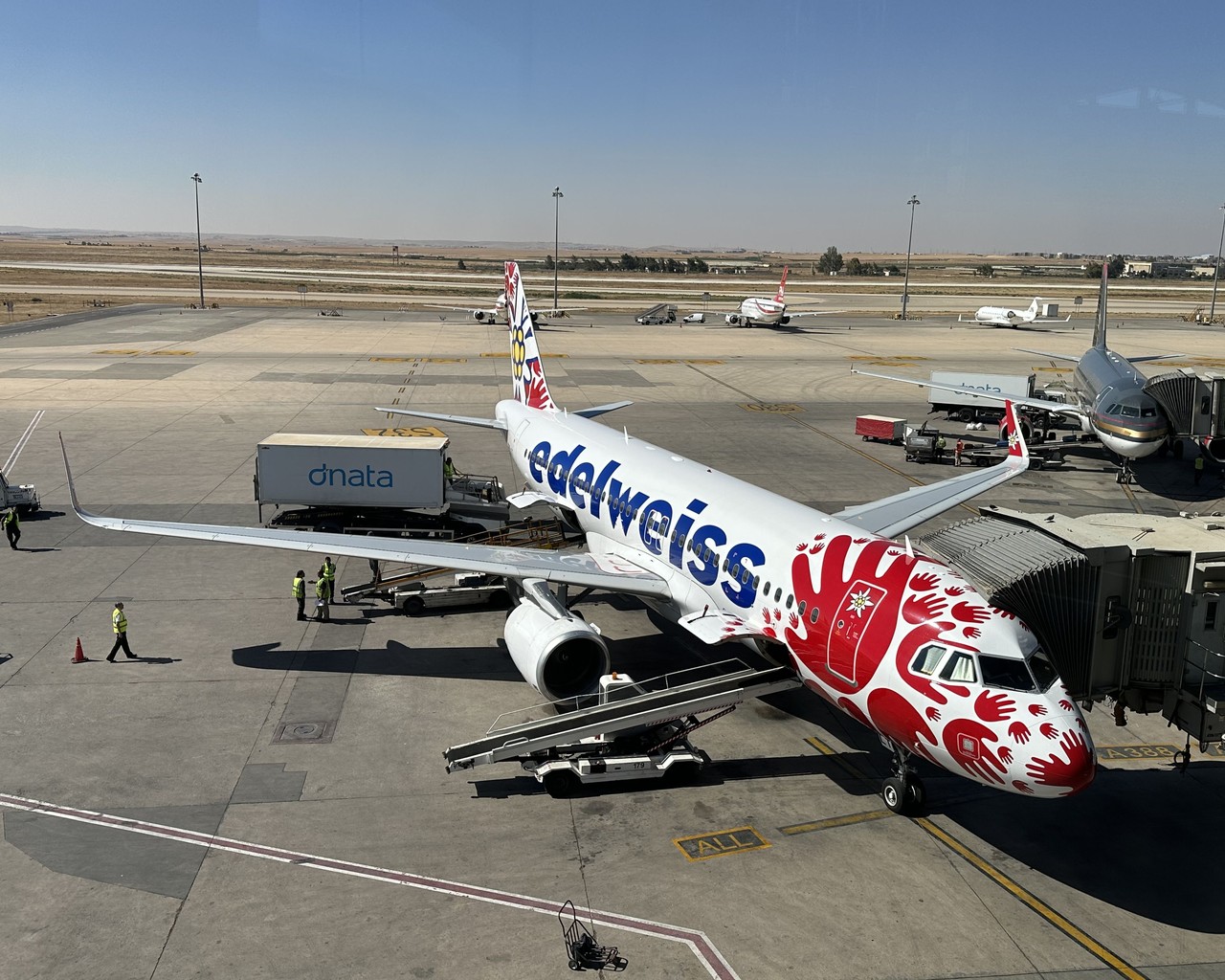 Avis du vol Edelweiss Air Amman → Zurich en Affaires