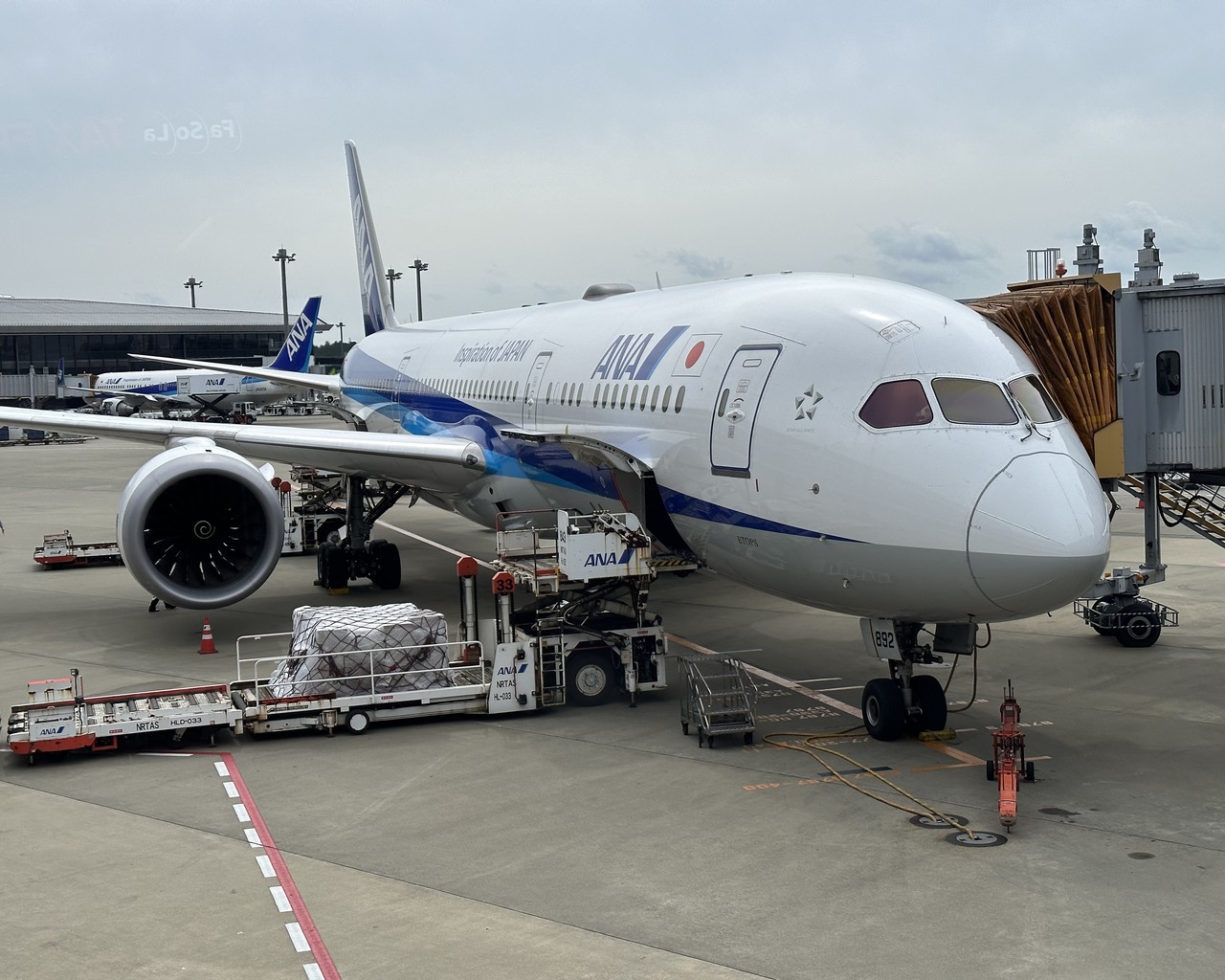 Review of ANA flight from Tokyo to Shanghai in Business