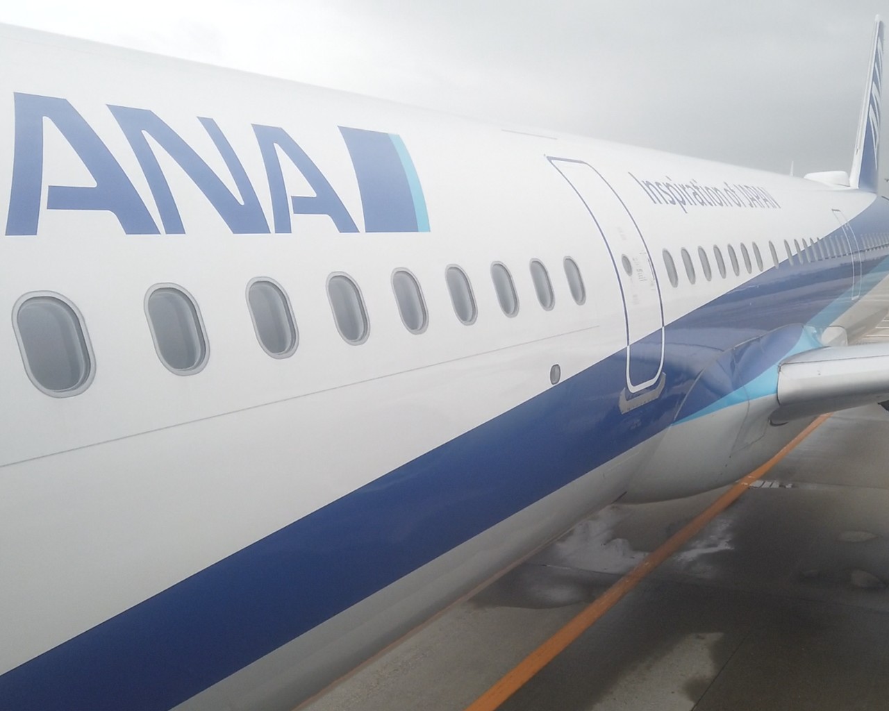 Review of ANA flight from Tokyo to Osaka in Economy