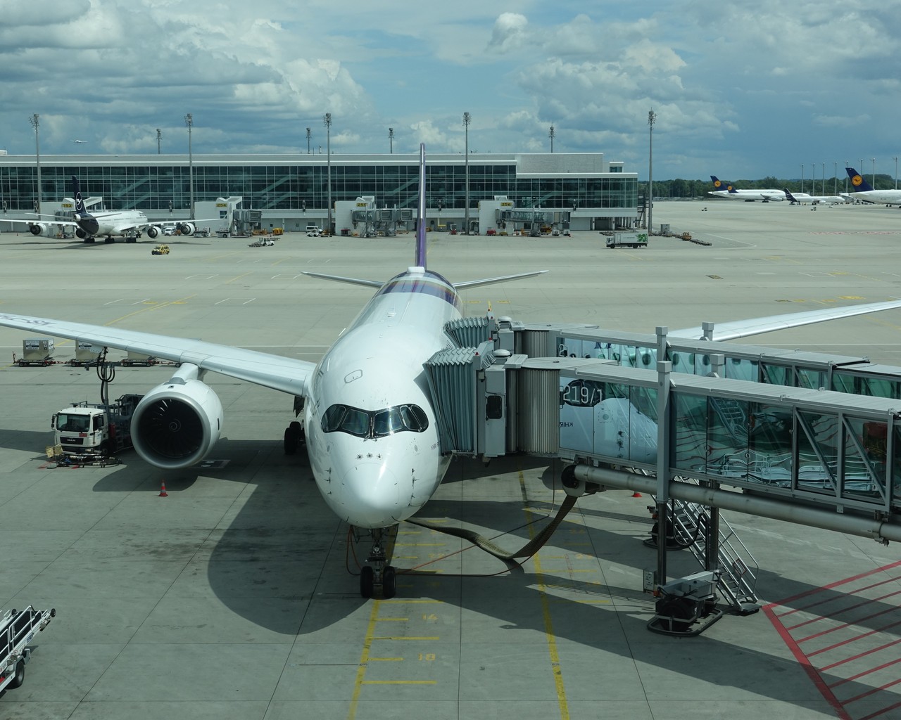 Review of Thai Airways flight from Munich to Bangkok in Economy