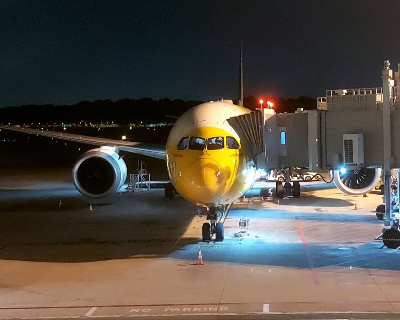 Review of Scoot flight from Singapore to Sydney in Premium Eco