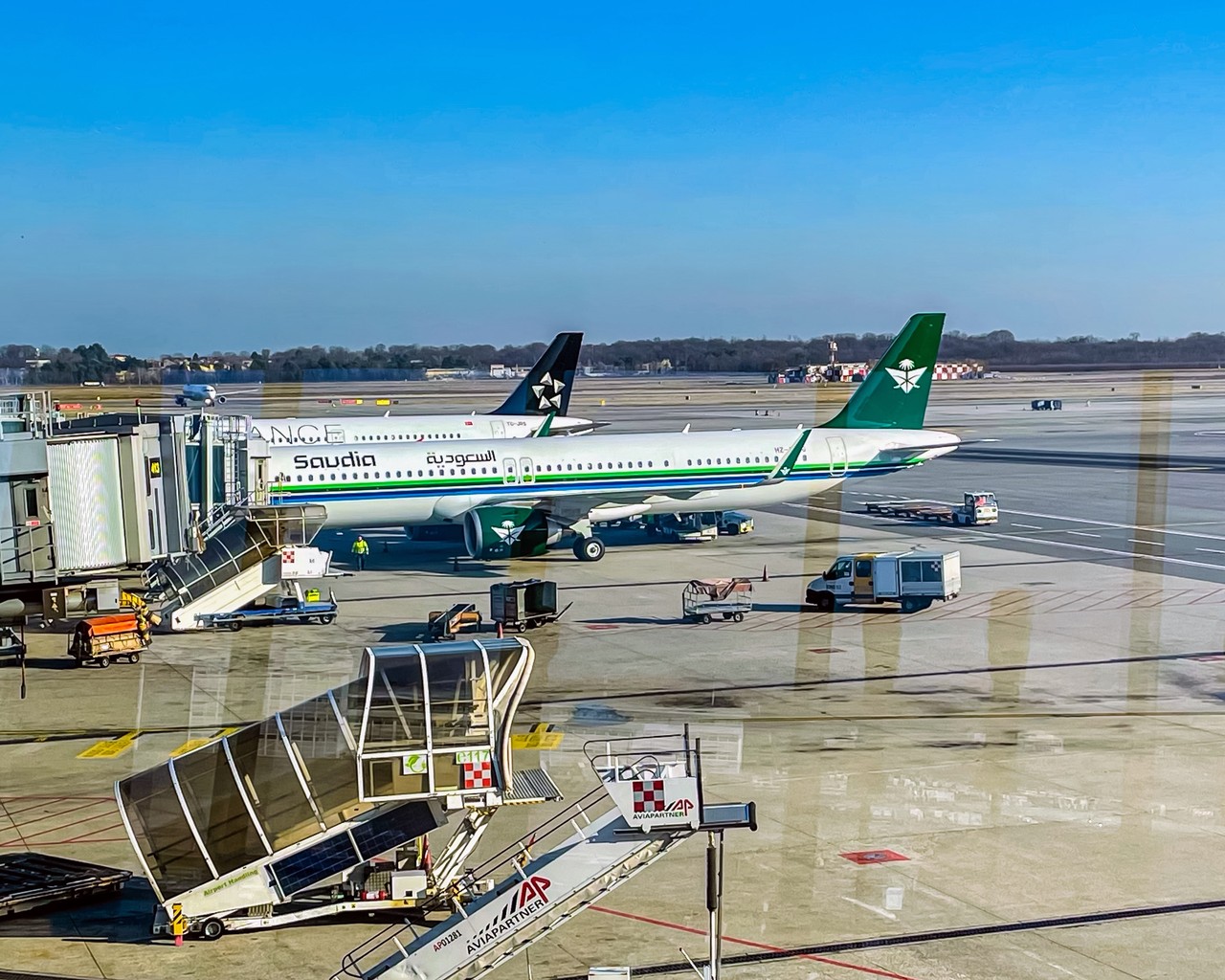 Review of Saudia flight from Milan to Jeddah in Economy