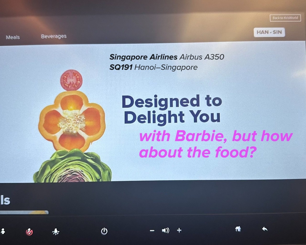 Review of Singapore Airlines flight from Hanoi to Singapore in Economy