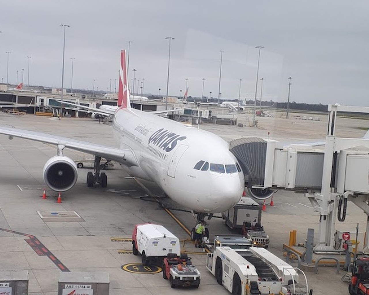 Review of Qantas flight from Melbourne to Tokyo in Economy