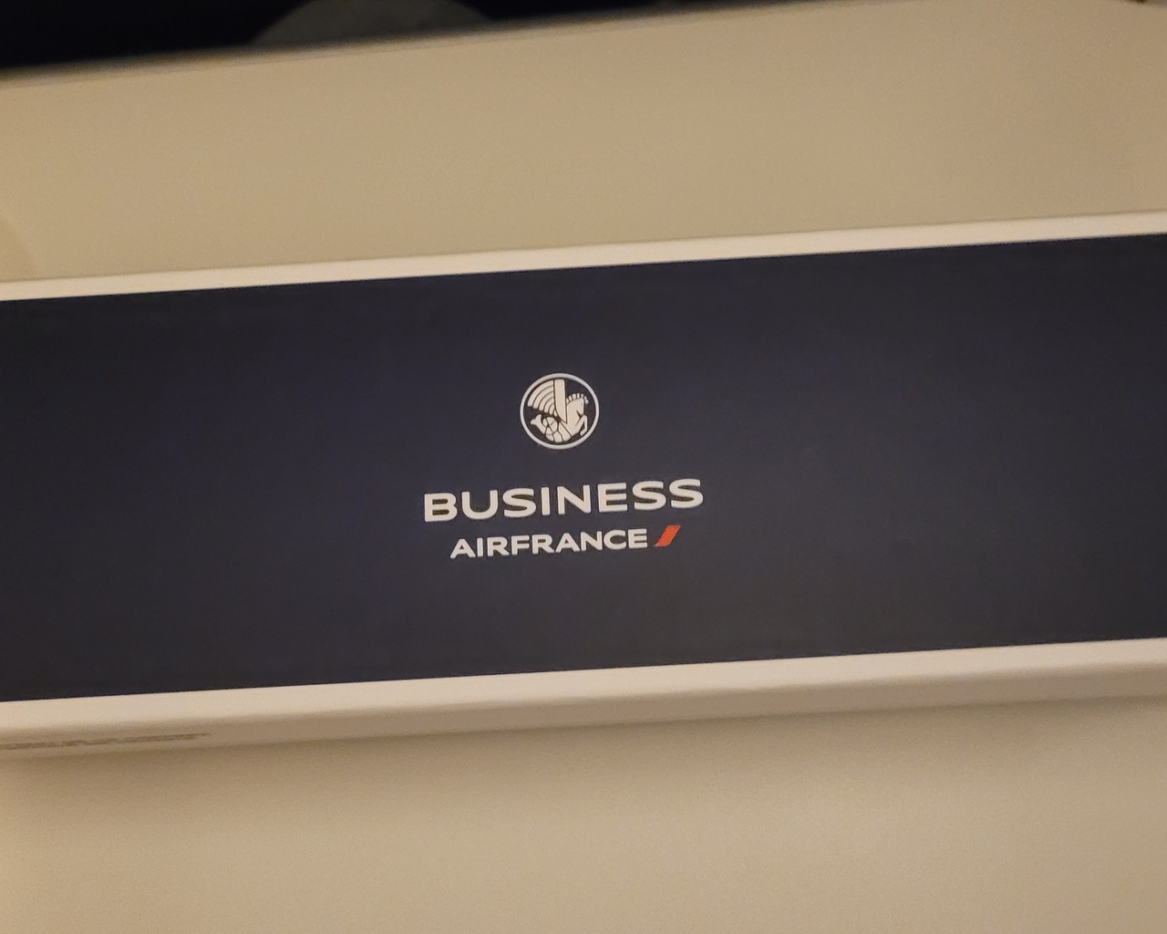 Avis du vol Air France Nice → Paris en Affaires