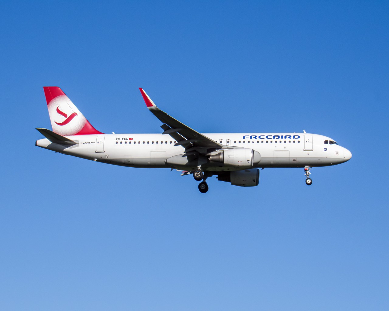 Review of Freebird Airlines flight from London to Antalya in Economy