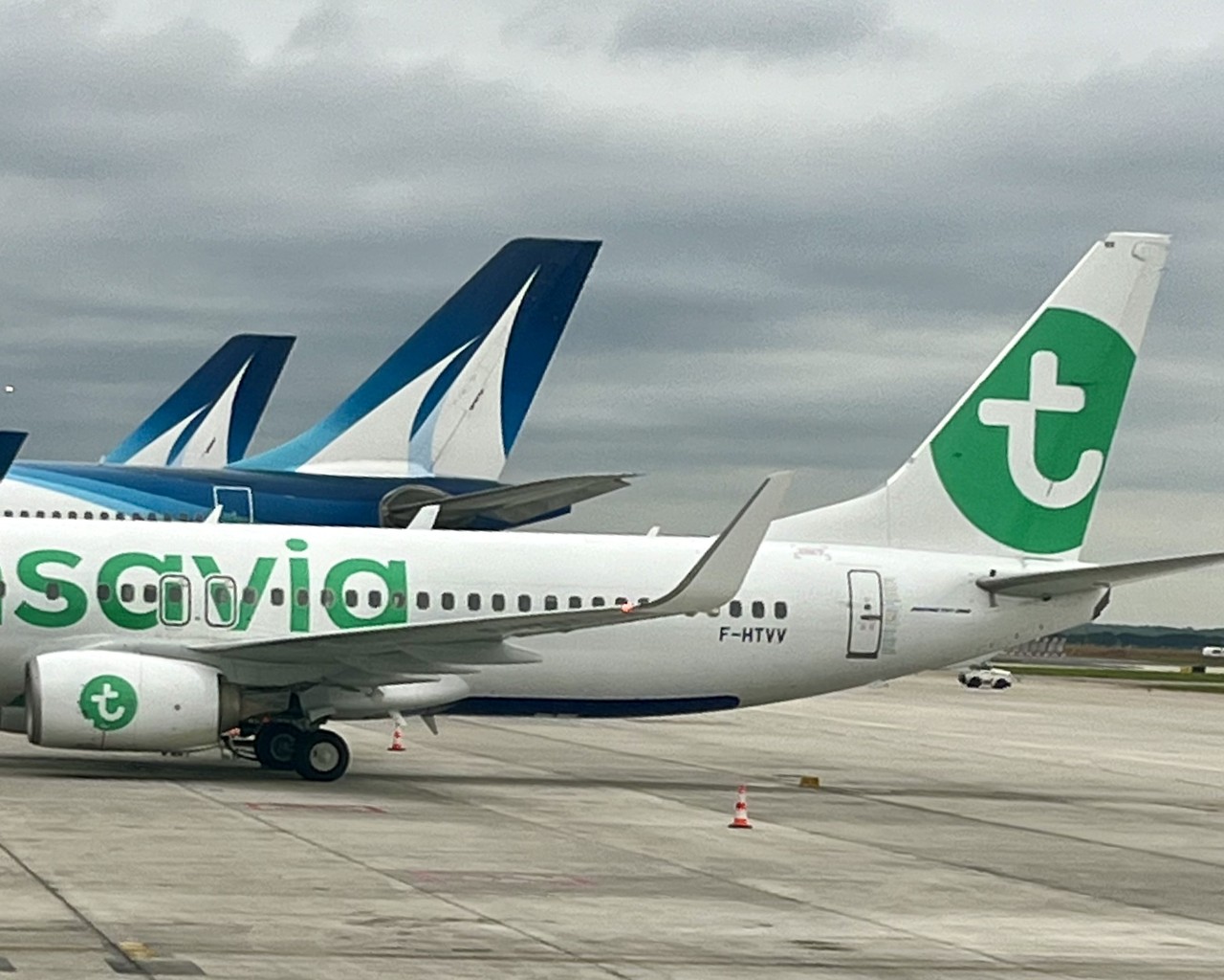 Avis du vol Transavia Paris → Tozeur en Economique