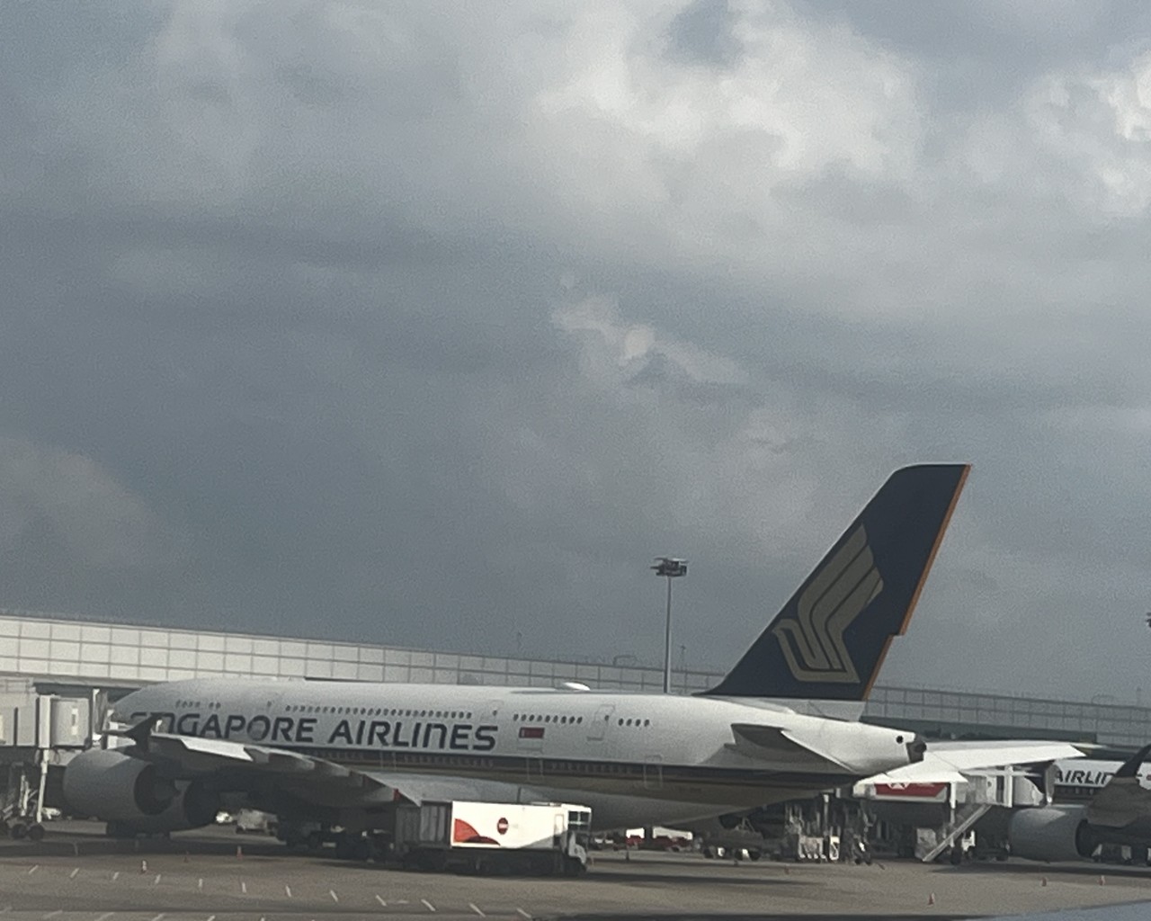 Review of Singapore Airlines flight from Sydney to Singapore in Economy