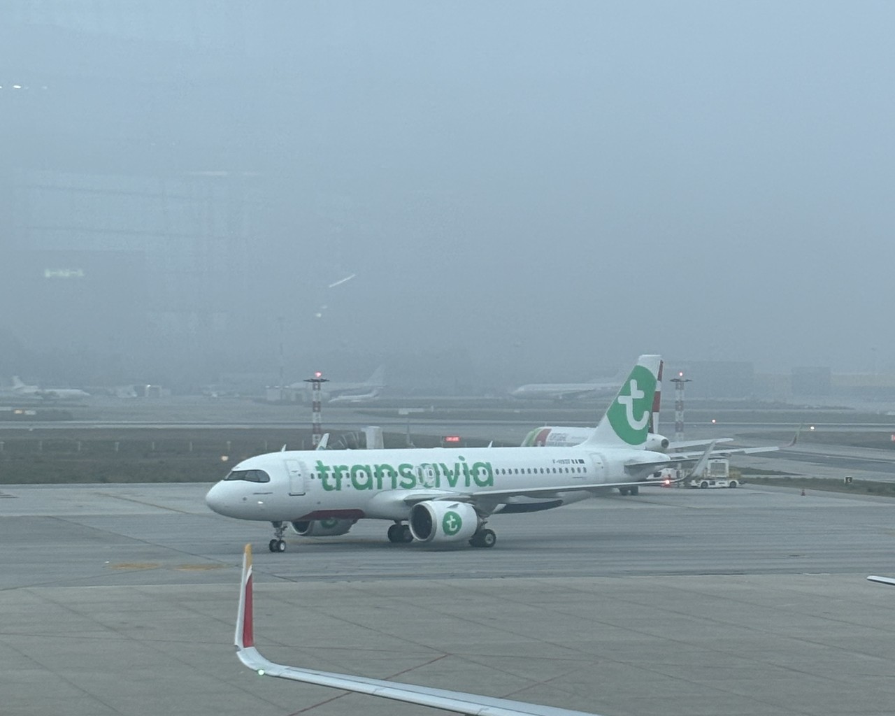 Avis du vol Transavia Porto → Paris en Economique