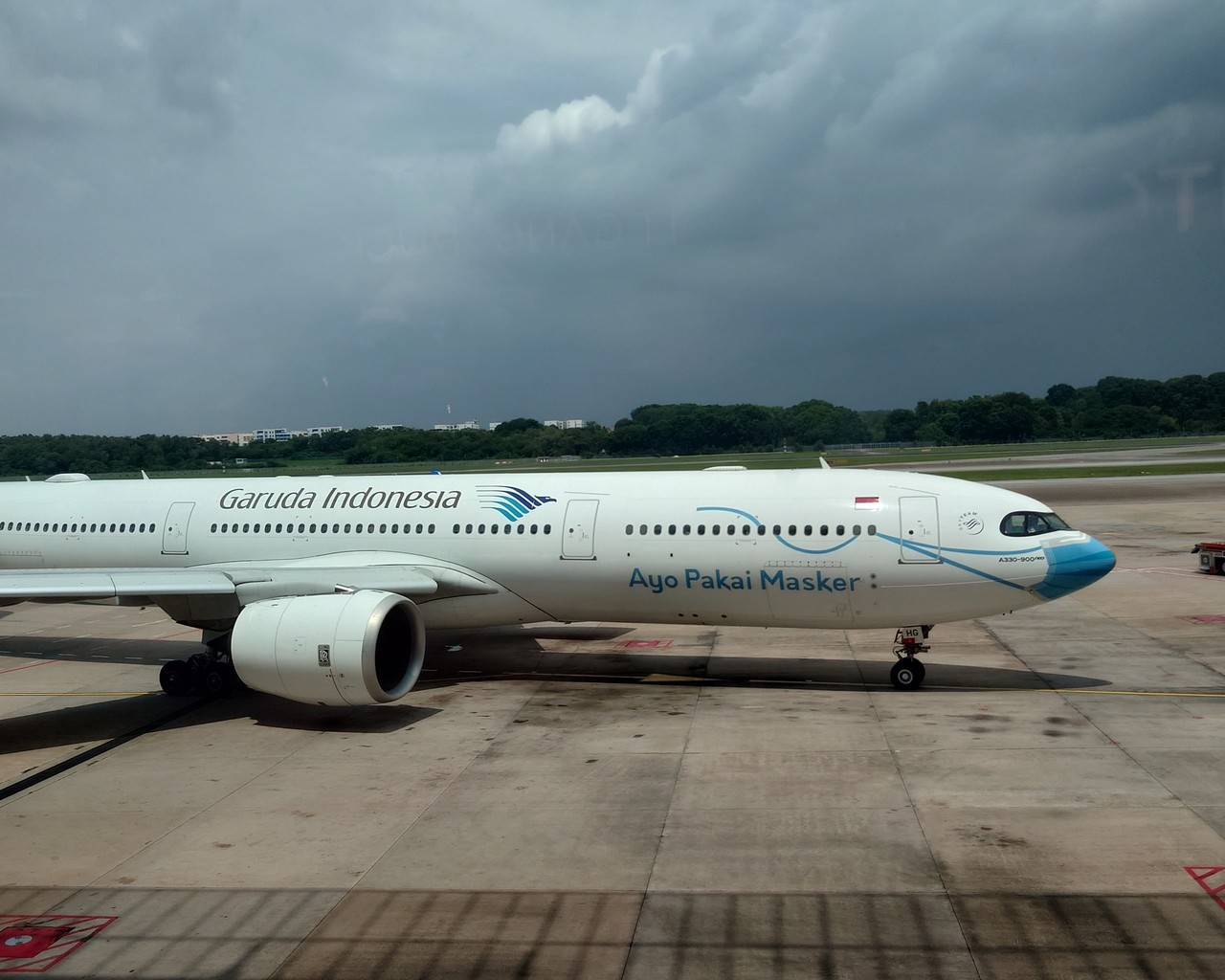 Review of Garuda Indonesia flight from Singapore to Jakarta in Economy
