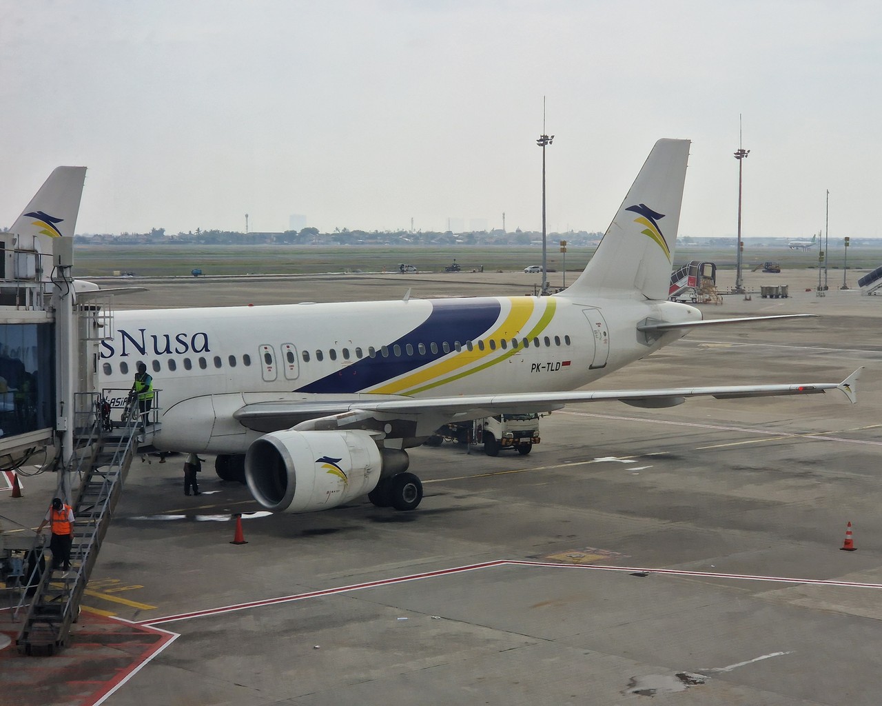 Review of TransNusa flight from Jakarta to Singapore in Economy