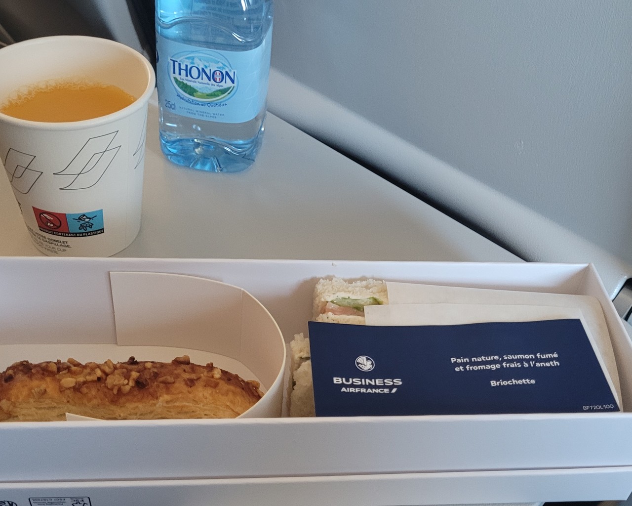 Review of Air France flight from Paris to Lyon in Business
