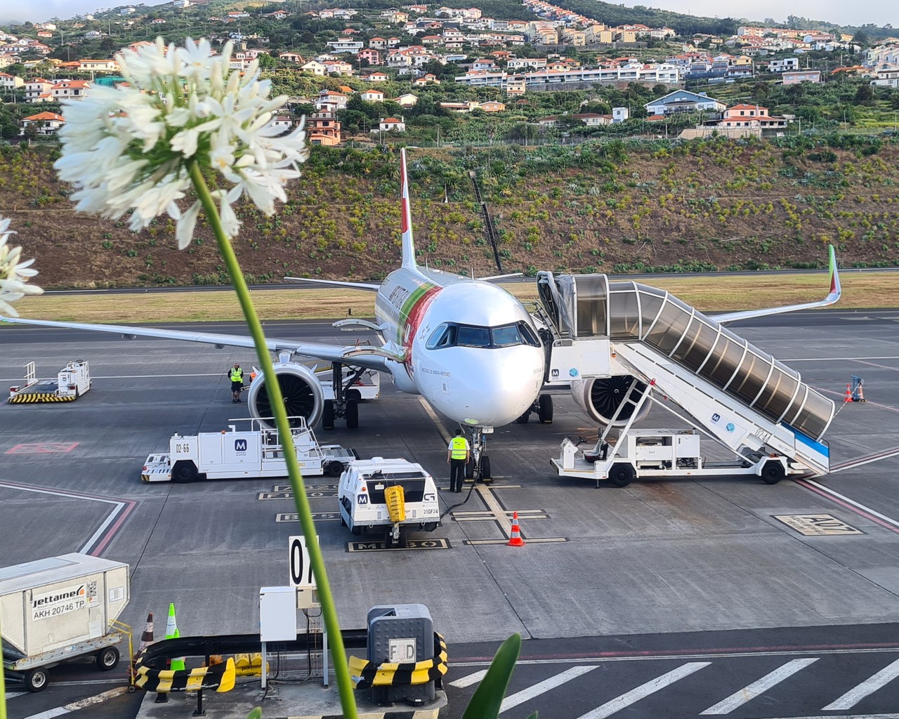 Avis du vol TAP Air Portugal Funchal → Lisbon en Economique
