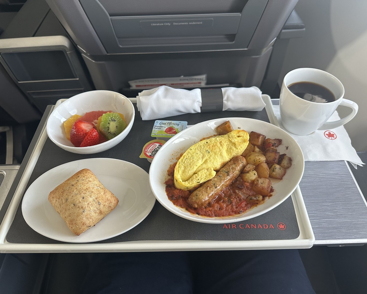 Review of Air Canada flight from Montreal to Toronto in Business