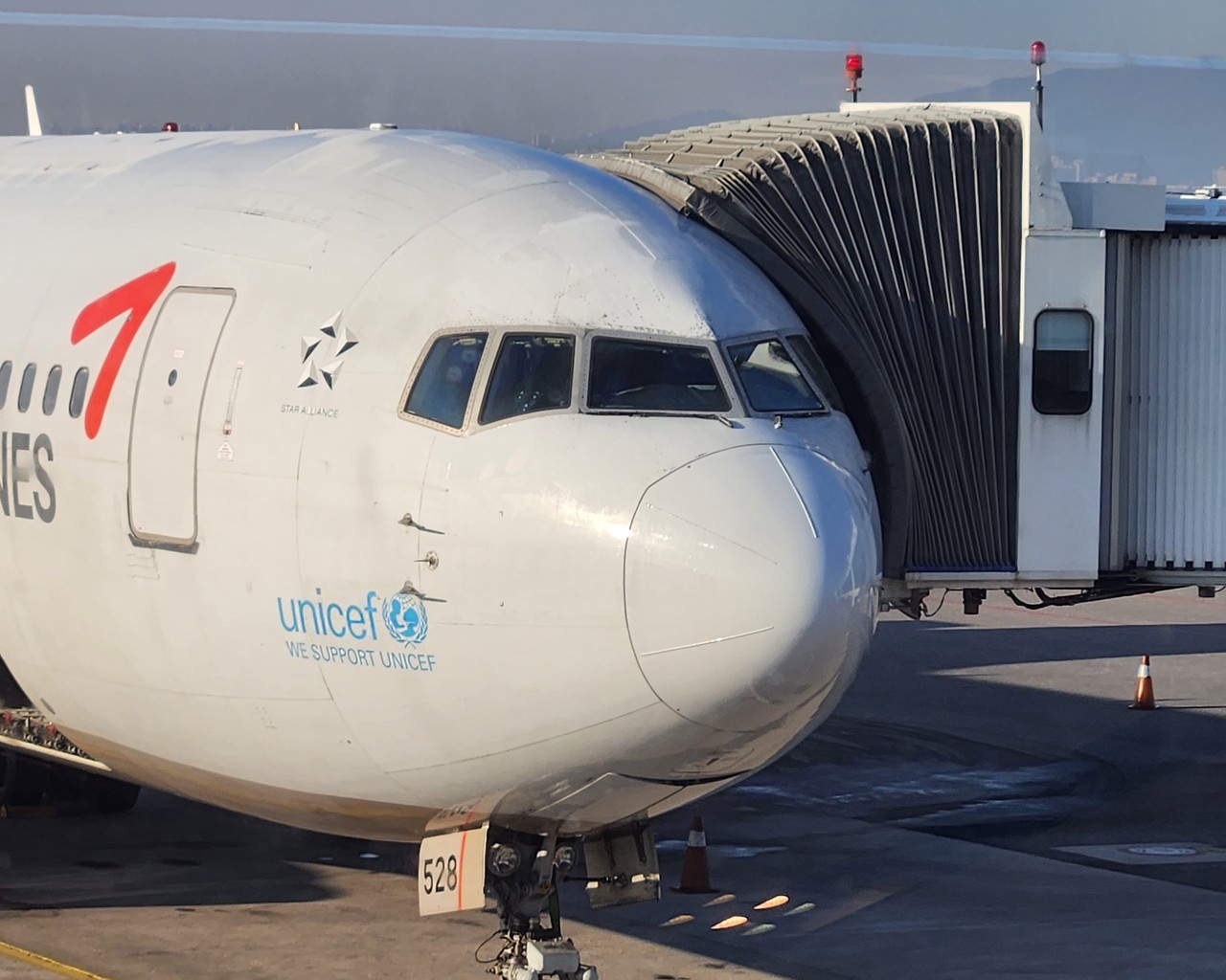 Review of Asiana Airlines flight from Seoul to Jeju City in Economy