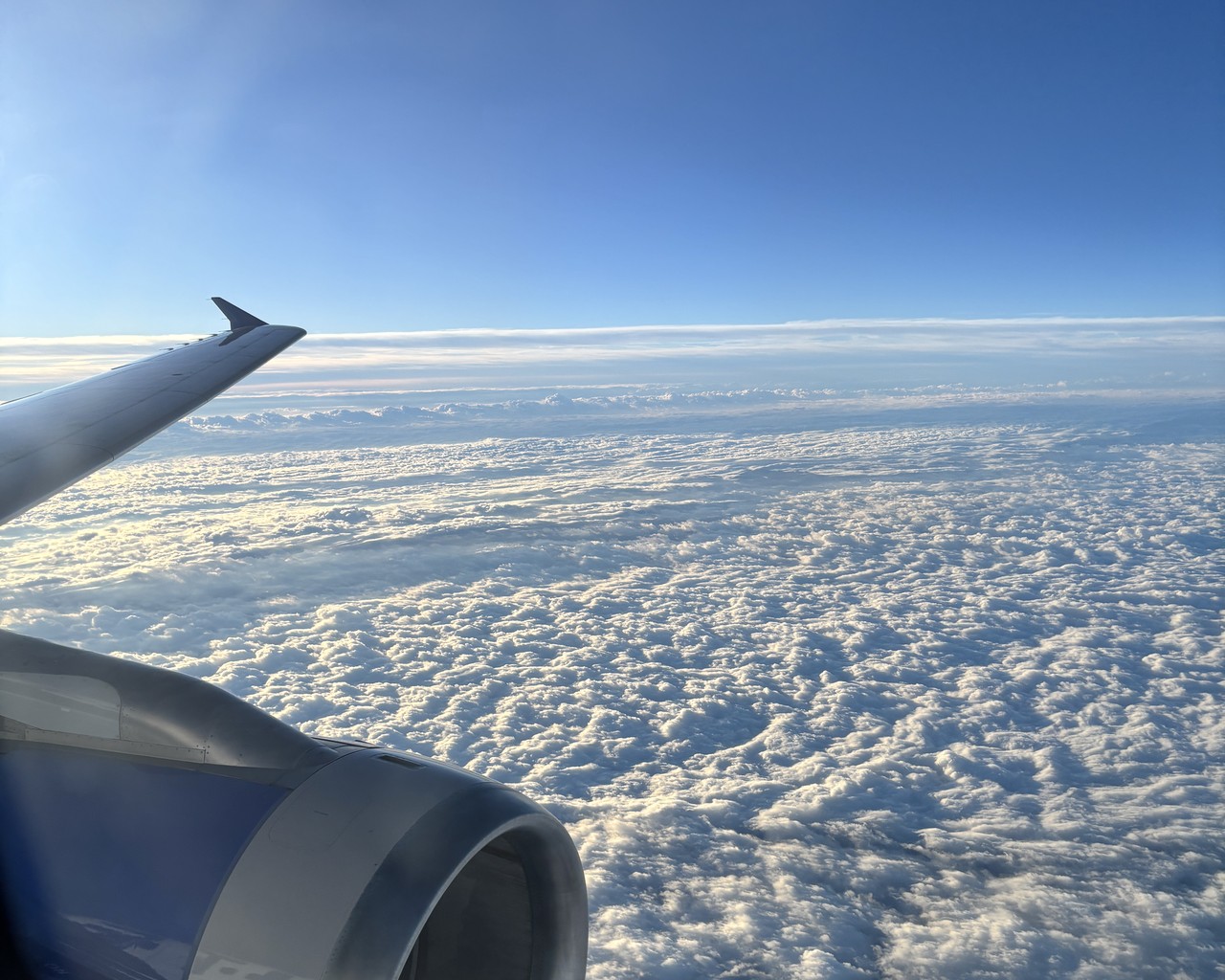 Review of United flight from Washington to Chicago in Domestic First